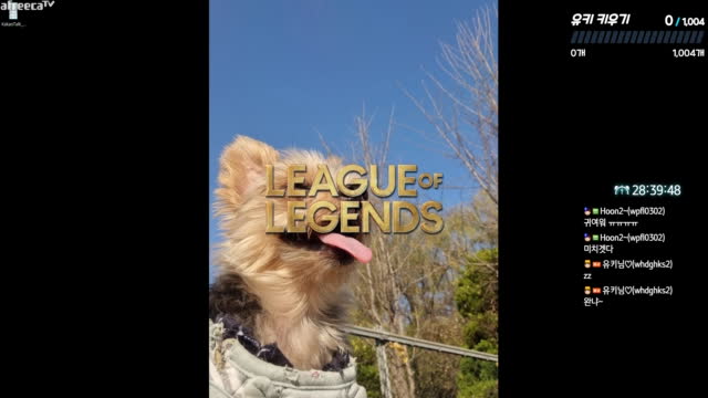 서든남캠]에버유키.wc lol 칼바람 팬시참 ㅎ.ㅎ | SOOP VOD