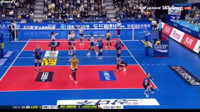 승5패 개막부터 개냠냠 엘지 5 모비스 승5패 승 가서 편안 ㅋㅋ 막폴대기 58배 배업 ㅅㅅㅅ 이런게 찐배업이라규 ㅎㅎ내일