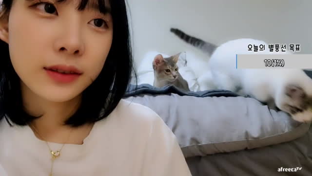 냥방송 | SOOP VOD
