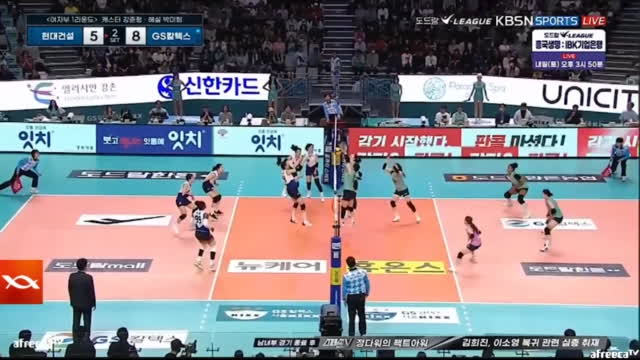 생김연경gs칼텍스도로공사kt위즈lg트윈스정관장kcc여자배구농구야구조규성6호골미트윌란흐비손흥민토트넘ufc스포츠분석축구격투기실시간