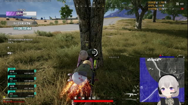 AML 저티어 중에 1등 강주이 w.이드앙 | SOOP VOD