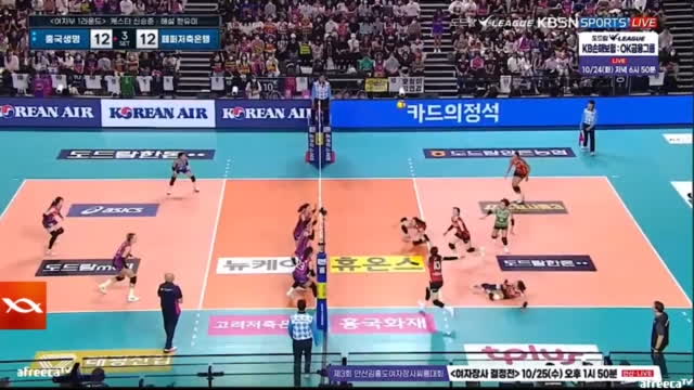 생김연경흥국생명페퍼저축은행우리은행하나원큐정관장모비스여자배구농구손흥민토트넘ufc스포츠분석축구격투기실시간pl Soop Vod