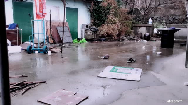 12월11일 점심밥 비오 네요(강쥐와 차에서 산다.) | SOOP VOD