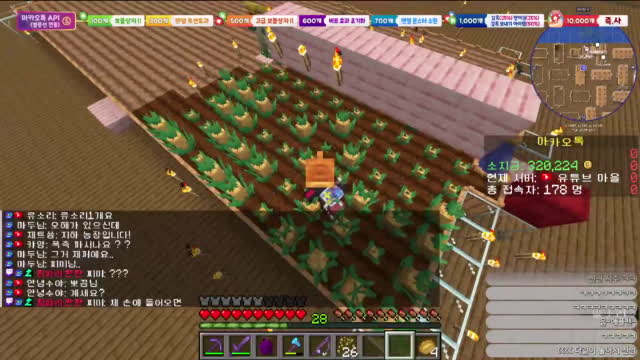 김사주 - PPAP | SOOP VOD