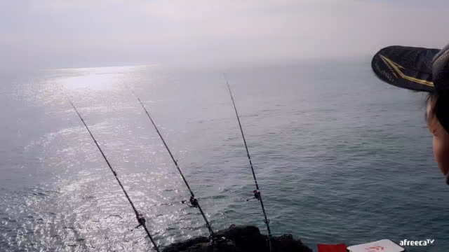 [클립]참돔73 | SOOP VOD