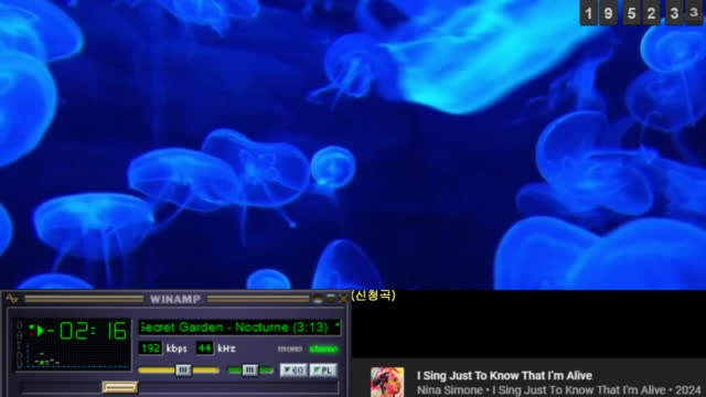 Secret Garden - Nocturne Old Pop, 가끔 가요 70' 80'.. | SOOP VOD