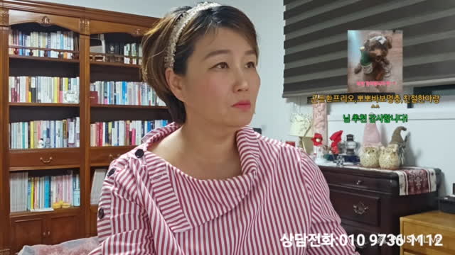 눈치초성장기자랑맞즐맞팬상담음악모든지 되는 방송🤗심리상담심리치료인간관계 고민상담가족상담부부상담힐링음악신