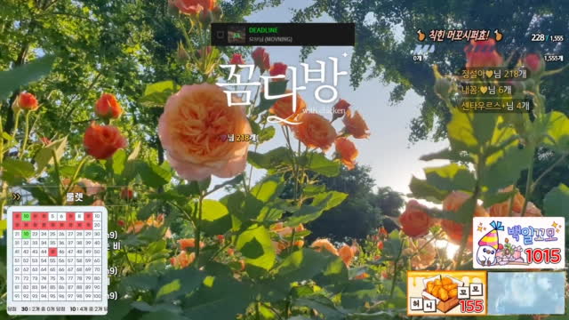 꼼다방 110일차 어렵지만 재미는 분명히 이써 룰렛뽑기 신입 누군가의대기방소통 신청곡라디오음방 맞즐맞팬쪽지