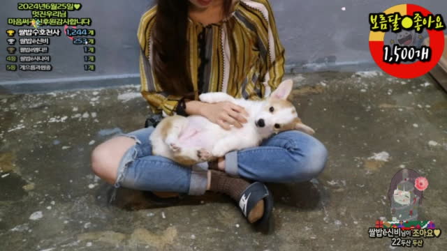 ️밥아무개 ️화요일오늘도파이팅신청곡모음플리 ️세상만물up되는날up만쳐 ️역팬라디오룰렛뽑기버츄얼분석코인주식축구야구낚시