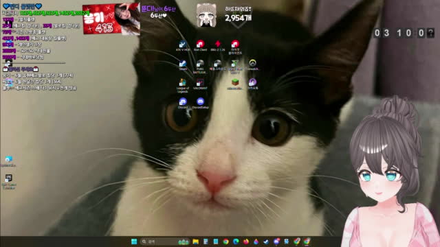 💙떤디💙얌클랜 칼발암 내전[qbz][YAM]#배그#발로 | 아프리카TV VOD