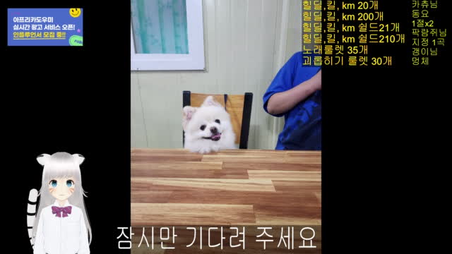 신입 버츄얼 69일차 백호수인 유니 카배 Bnh 그녀들의 옵치당분간 와드x 미션환영 룰렛 납치환 아프리카