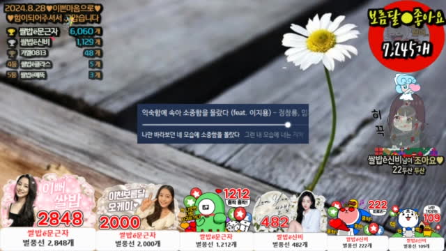 오늘밤9시30분만나요베베 ️바비네24시음방 ️신청곡모음플리 ️세상만물up되는날up만쳐 ️역팬맞추라디오룰렛뽑기버츄얼분석코인주식야구