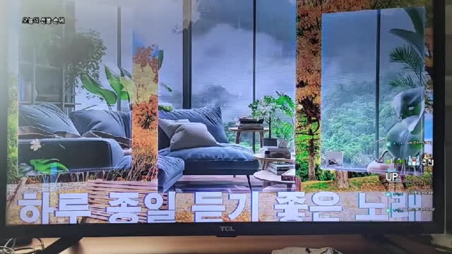 오늘 초투랑이가 아프네요 선배님들 힘좀 주실래요 ㅠ ㅠ 아파요 화이팅 아이돌 가수 음악 라이브 여행 야방 맞추 맞팬 맞즐