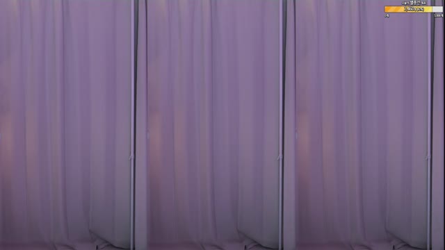 [클립]daijobou dayo cat | SOOP VOD