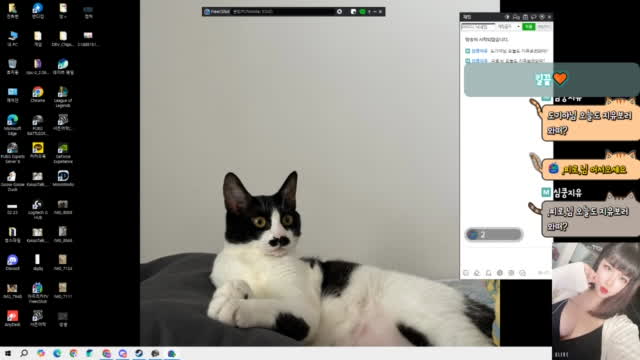 마스터미션 두가쟝 💜 #룰렛 #YAM #방셀 | 아프리카TV VOD