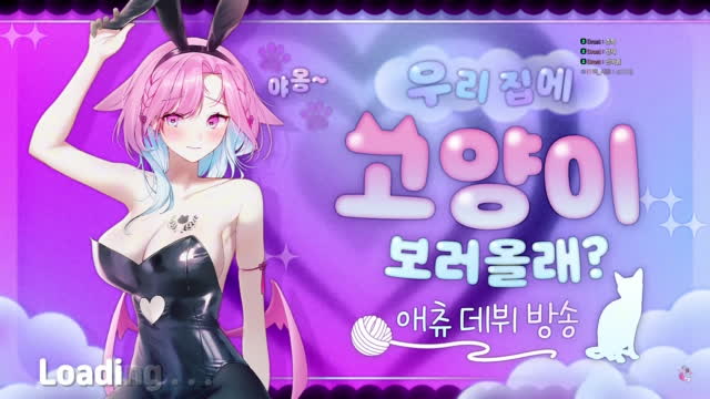 [v][데뷔] 우리 집에 고양이 보러 올래?/선물 추첨 1시 40분 마감 | SOOP VOD