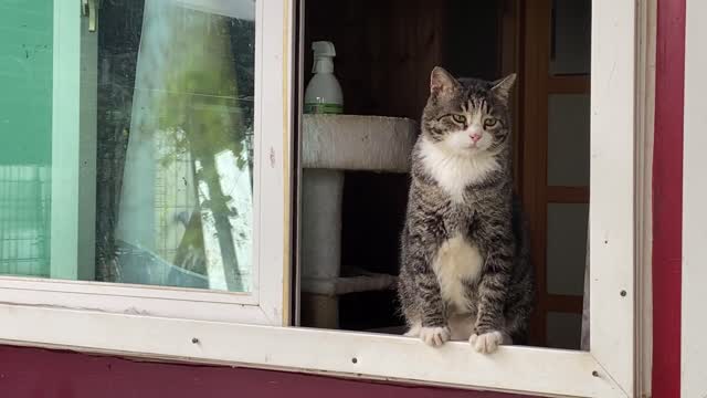 [클립]베라 애교 보시죠 | SOOP VOD