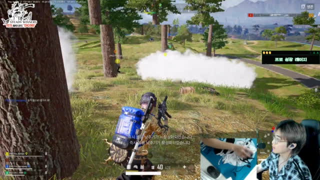 DG98 수피랜드 신입 bj 3일차 | SOOP VOD