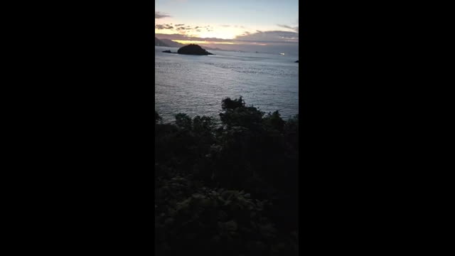 r2 치아양이다 | SOOP VOD