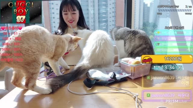 남양주 오일장 거지에염 ㅠㅠ~♡ ( 용돈룰렛 50+ 51- ) | SOOP VOD