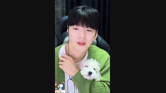 극한직업 미누 강아지의 삶 1 | SOOP VOD