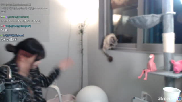 [캐치]5k몽 으쌰으쌰 웃음몽 | SOOP VOD