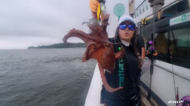 캐치 문어🐙 여수 9수째 디스커버리호 버저비터 낚시 선상 바다 여낚비 소통 3등신 마탄자 카이루소