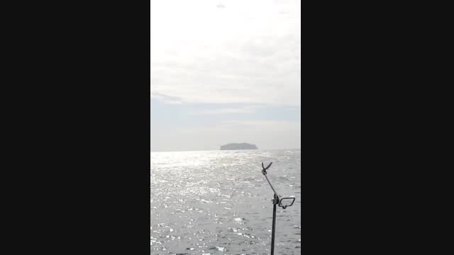 [캐치]제주언니 4짜 강담돔43cm1.7kg | SOOP VOD