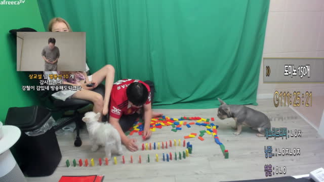 [캐치]이상호 크랙의신 출격 오늘은 마스터찍는날. 현D4 0점.. 마스터노방종 | SOOP VOD