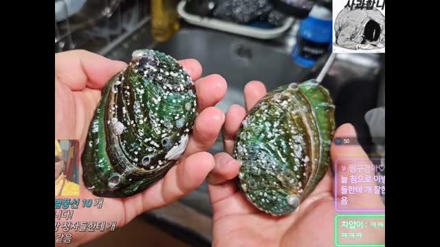 캐치 나루토의 요리리2화 완도산🦪전복구이 먹방돼지고기김치상추고추마늘잡곡밥 루토카페고민소통상담수다음악노래맛집봉준시사
